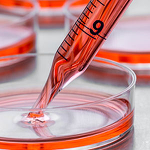 Medium reagent - Cellartis® 2i - TAKARA - for research / liquid