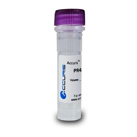 Loading buffer reagent - SmartCheck - BENCHMARK SCIENTIFIC - dye / DNA ...