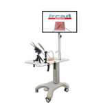 Gynecological care simulator, Obstetrical/gynecological simulator - All ...