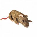 Rodent simulator - All medical device manufacturers