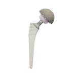 Hip prosthesis - All medical device manufacturers