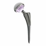 Hip prosthesis - All medical device manufacturers