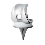 Knee prosthesis - All medical device manufacturers