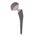Hip prosthesis - All medical device manufacturers