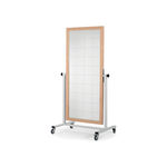Posture mirror - All medical device manufacturers