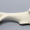 Humerus anatomical model - 2810 - Sawbones/Pacific Research Labs - for ...