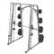 Smith machine with pull-up bar - AXIOM - Life Fitness