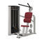 Abdominal crunch gym station - AXIOM - Life Fitness