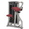 Triceps extension gym station - AXIOM - Life Fitness