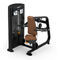 Seated dips gym station - RESOLUTE™ - Precor