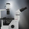 Inverted microscope - TCM400 - Labomed Europe b.v. - optical ...