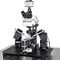 Optical microscope - SliceScope Pro 6000 - Scientifica - laboratory ...