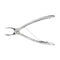 Veterinary dental extraction forceps - 8001305 - Keystone Vet