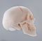 Synthetic bone substitute - SKUHEAL™ L240520 - Allgens Medical - for ...