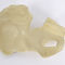 Hemi-pelvis anatomical model - PR0735 - SYNBONE AG - joint / hip / surgery