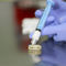 Synthetic bone substitute - Bonegraft Biomaterials - for orthopedic ...