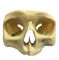 Bone model - ZYGOMA - Selmodels SL - maxilla / for implantology
