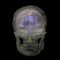 Ultrasound imaging test phantom - SL-A02 - True Phantom Solutions - for ...