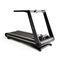 Adult treadmill ergometer - Centurion 300 - Micromed Biotecnologia