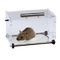 Animal research induction chamber - 8329002 - Univentor - for mice