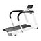 Treadmill with handrails - PT - 4.0T - Dyaco International - with incline