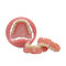 PMMA dental material - 98mm Flexible Blocks - HaHasmile - for dental ...