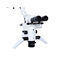 Optical microscope - Bondent GmbH - for dental laboratories / binocular ...