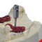 Acrylic dental material - micro Pattern Plus® - megadental italia ...