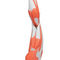 Muscle model - M20 - 3B Scientific - leg / for teaching / with nerves