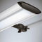 Dental laboratory lamp - TANEO Lab - Derungs Licht AG - lighting / LED