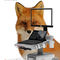 On-platform veterinary ultrasound system - MyLab™Fox - Esaote ...