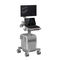 On-platform ultrasound system - MyLab™E80 - Esaote - for multipurpose ultrasound imaging / for ...