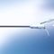 Radial artery harvesting endoscopic surgical system - Vasoview 7xB ...