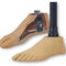 SACH prosthetic foot - SKF10 series - Trulife - multi-axis / K2 / for ...