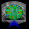 Medical software - Vitesse™ - Varian Oncology - CT / for brachytherapy ...