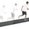 Gait evaluation system - FDM - zebris Medical - kinematic analysis ...