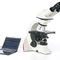 Optical microscope - DM1000 - Leica Microsystems - laboratory / upright ...