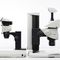 Microscope light source - TL3000 Ergo & TL5000 Ergo - Leica ...
