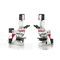 Fluorescence microscope - DM6 FS - Leica Microsystems - optical ...