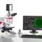 Automated cell imaging system - LAS X Widefield - Leica Microsystems ...