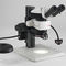 Stereo microscope light source - LED3000 DI - Leica Microsystems - LED