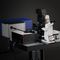 CARS microscope - STELLARIS 8 CRS - Leica Microsystems - optical ...