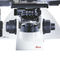 Optical microscope - DM3000 series - Leica Microsystems - laboratory ...