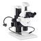 Microscope light source - LED5000 SLI - Leica Microsystems - LED
