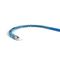 Diagnostic catheter - WEBSTER® CS - Biosense Webster - central venous ...