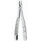 Canine teeth extraction forceps - 0100-168 - ASA Dental - English pattern