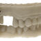 Resin dental material - Precisa RD-ECO2 - DWS Systems - for 3D printing ...