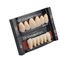 PMMA dental prosthesis - SR Vivodent DCL - Ivoclar Vivadent - resin ...
