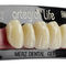 PMMA dental prosthesis - artegral®life - Merz Dental GmbH - anterior ...