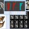 Surgery software - NNT - NewTom - dental / for dental imaging ...